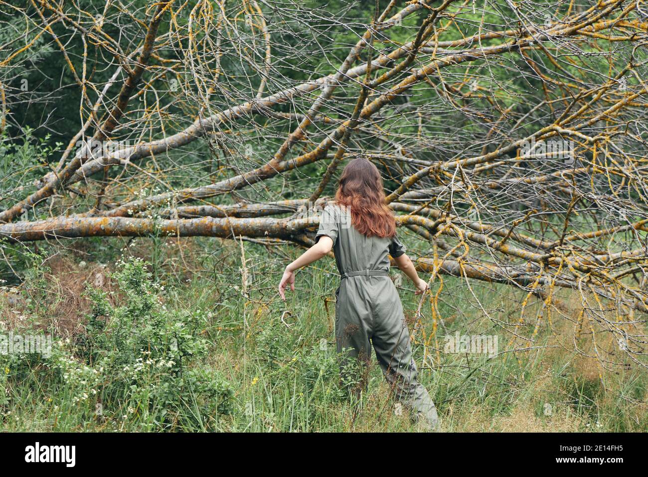 Woman sitting smiling on fallen tree hi-res stock photography and ...