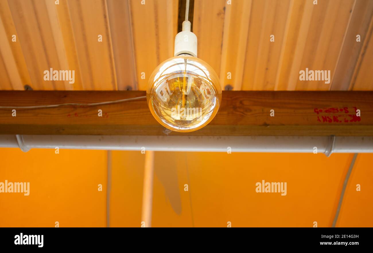 South african bulb hi-res stock photography and images - Alamy
