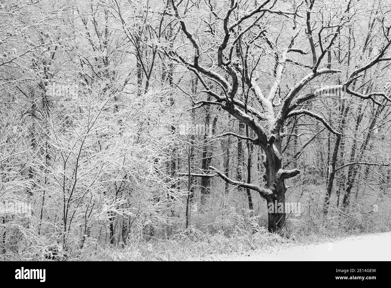 Northern indiana hi-res stock photography and images - Alamy