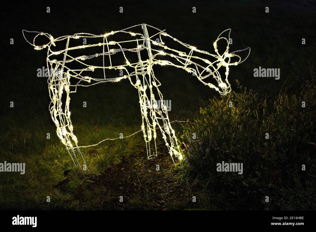 Fake deer hi-res stock photography and images - Alamy