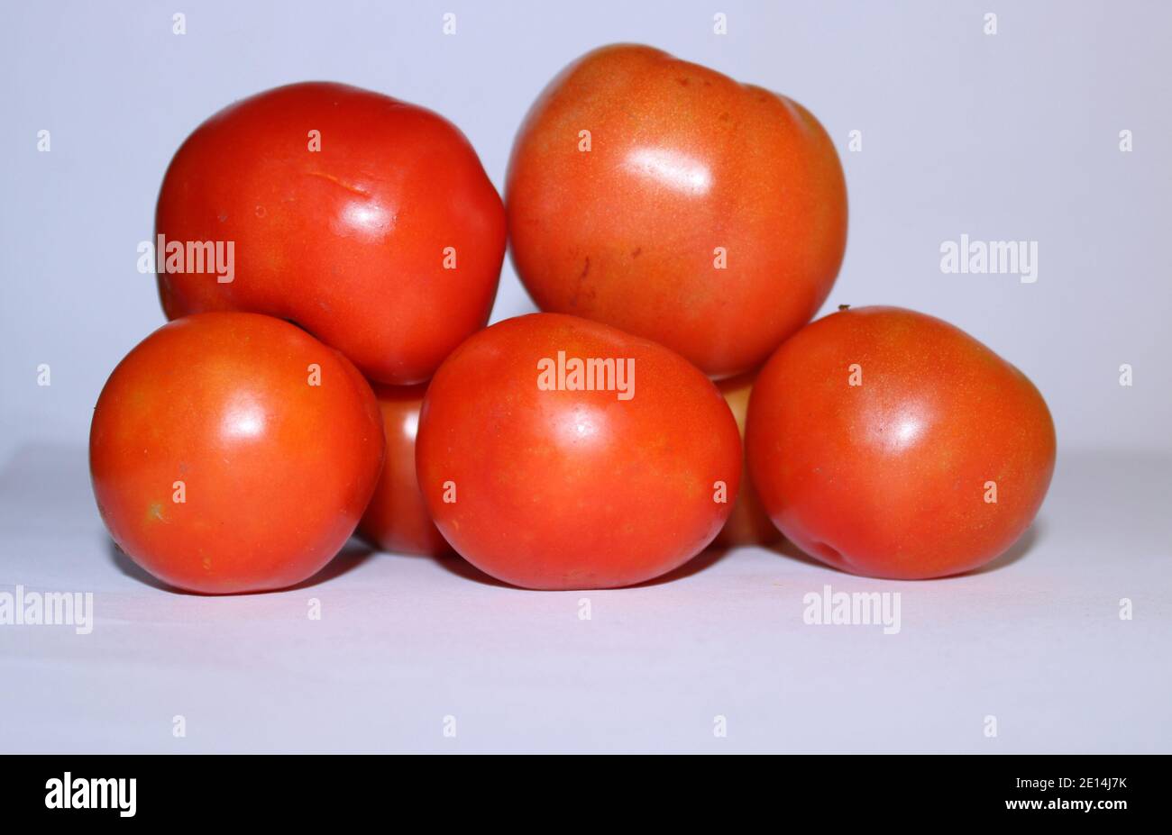 red colour fresh tomato with white background Stock Photo - Alamy