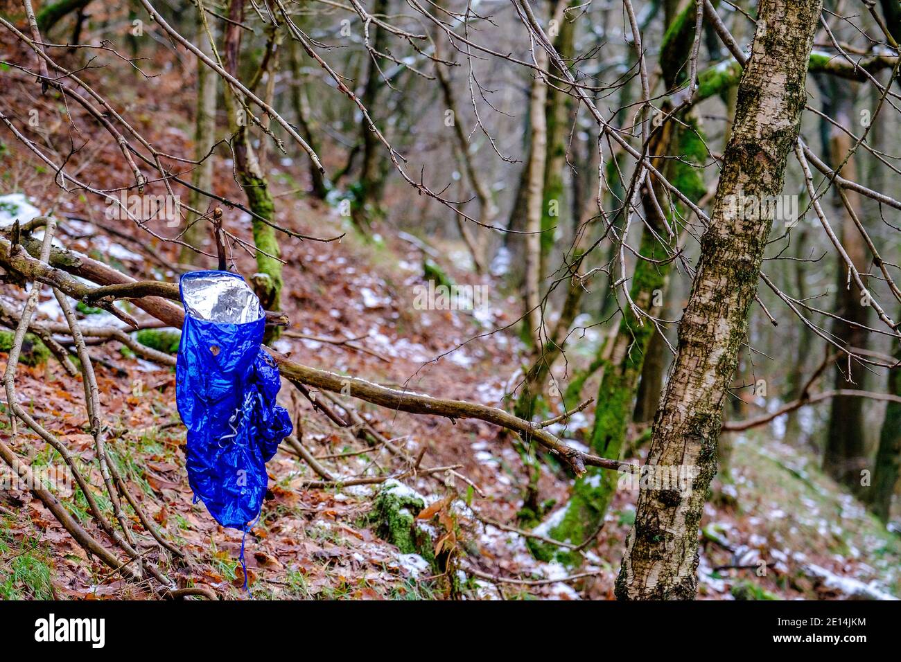 Party balloon hanging in a tree Stock Photo - Alamy