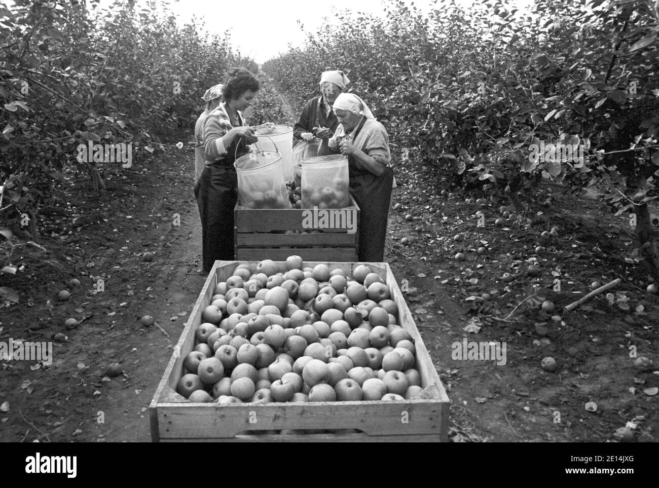 Lpg plant production Black and White Stock Photos & Images - Alamy