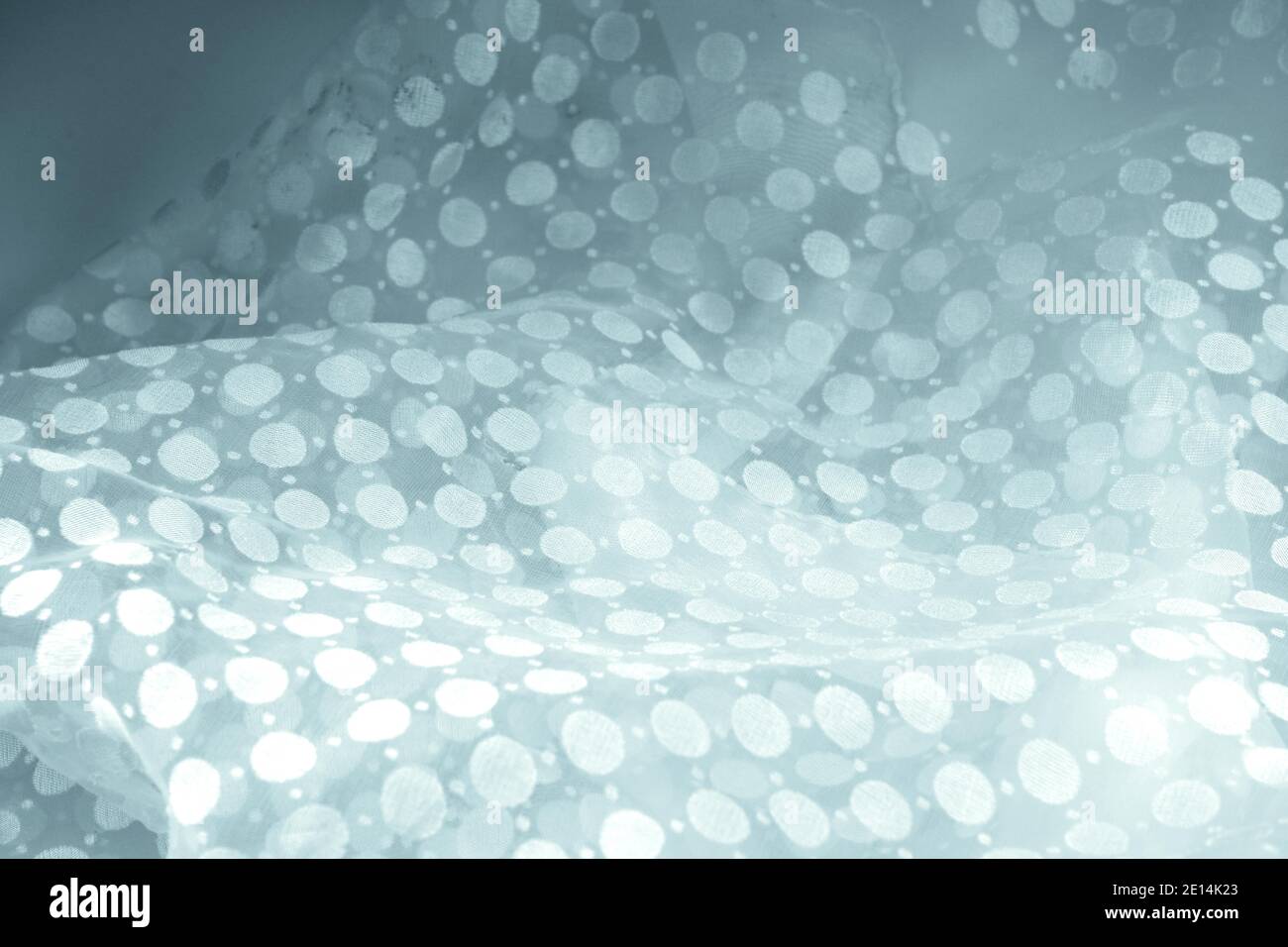 Shell with dotted pattern hi-res stock photography and images - Alamy