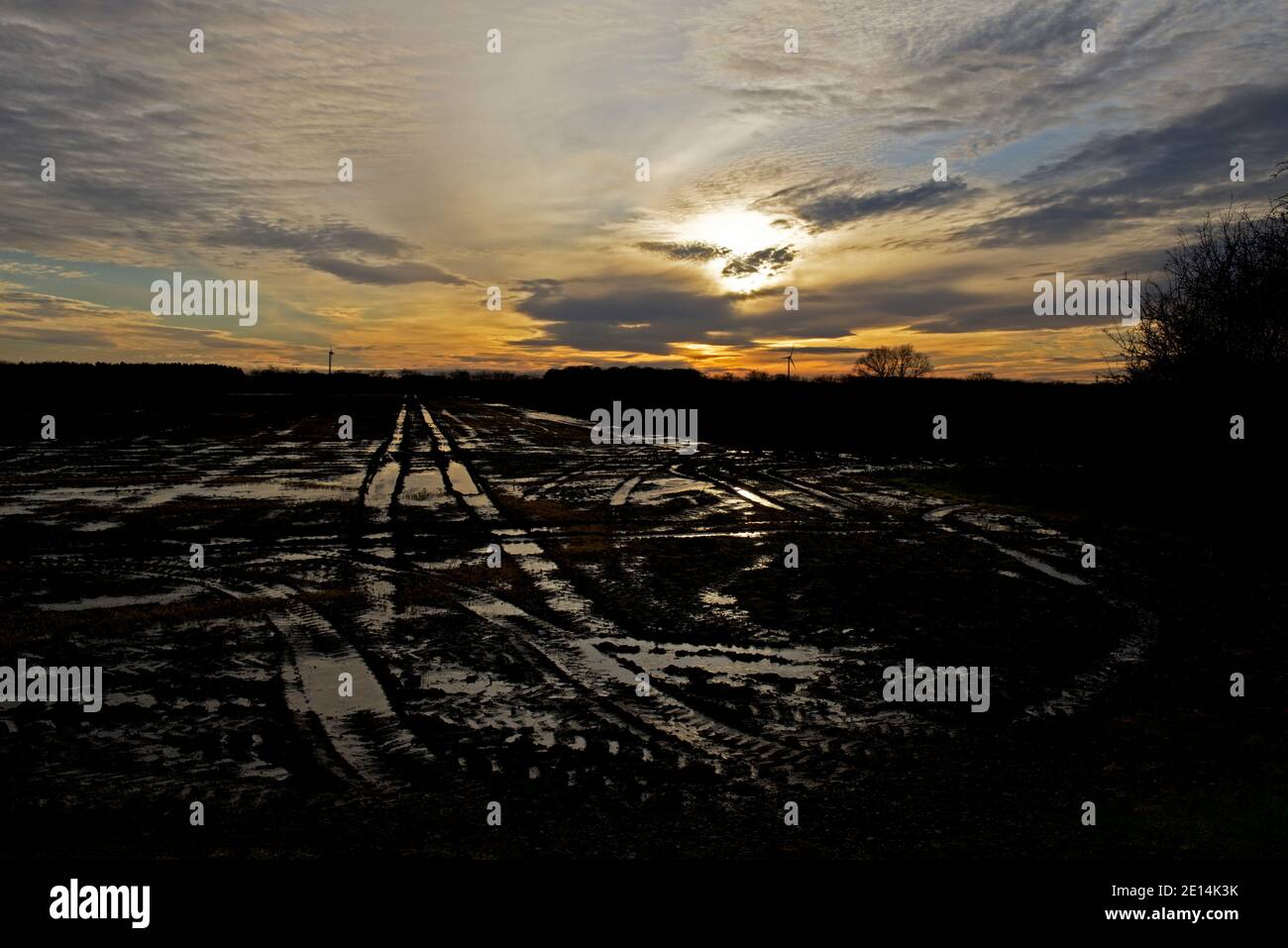 Muddy and waterlogged field, East Yorkshire, England UK Stock Photo - Alamy