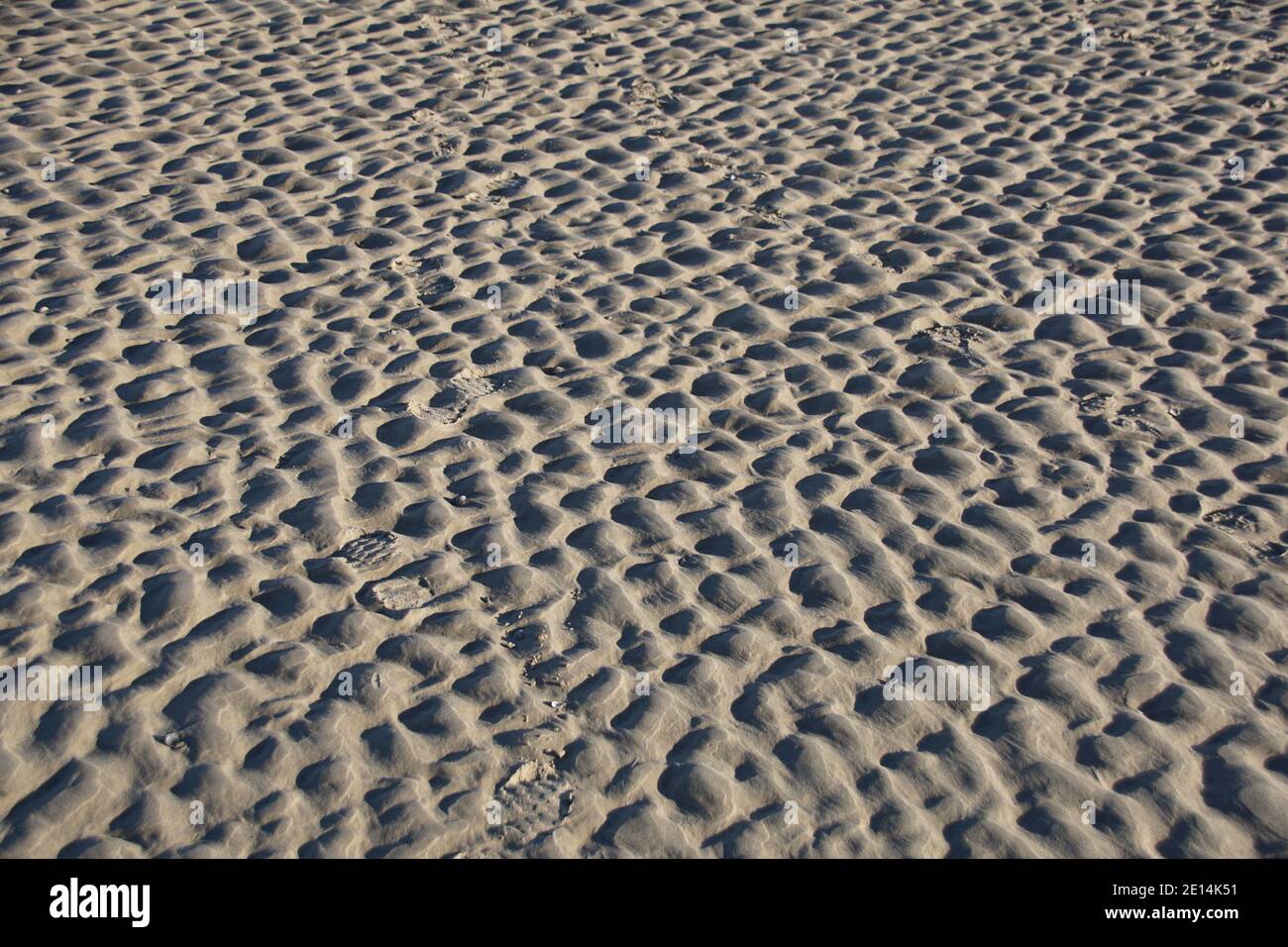 Sand beach texture the Netherlands, Texel Stock Photo - Alamy