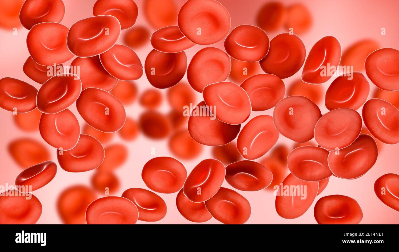 Group of red blood cells or erythrocytes close-up 3D rendering ...