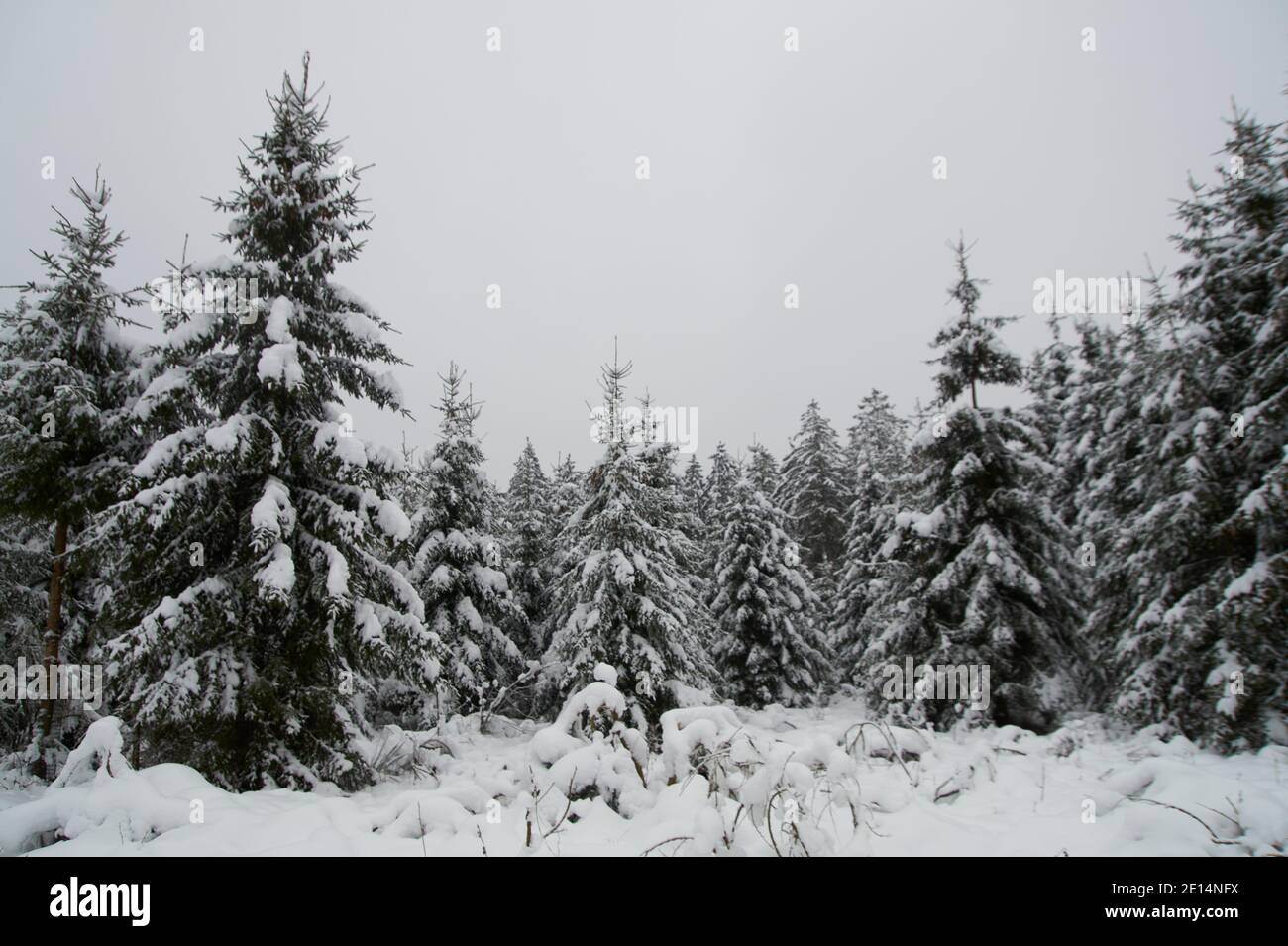 Dark Snowy Landscape