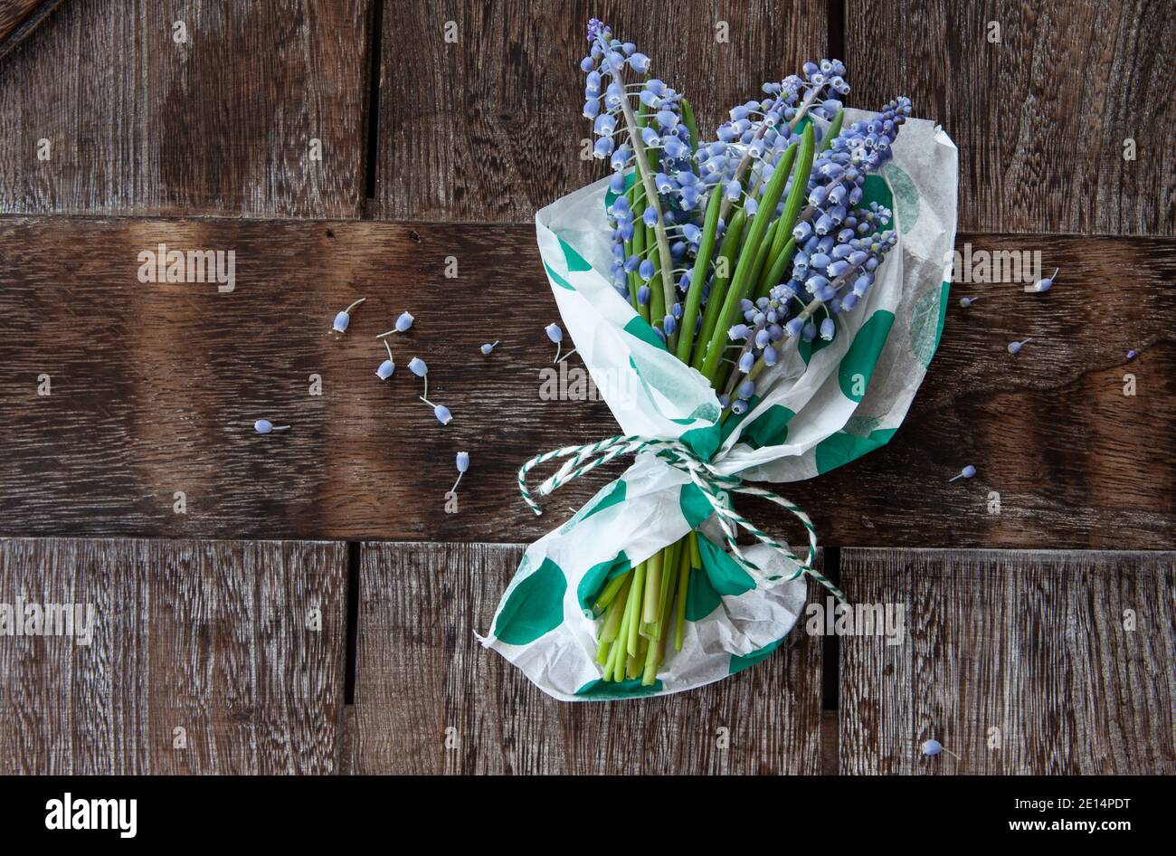 Blue tissue paper flower hi-res stock photography and images - Alamy