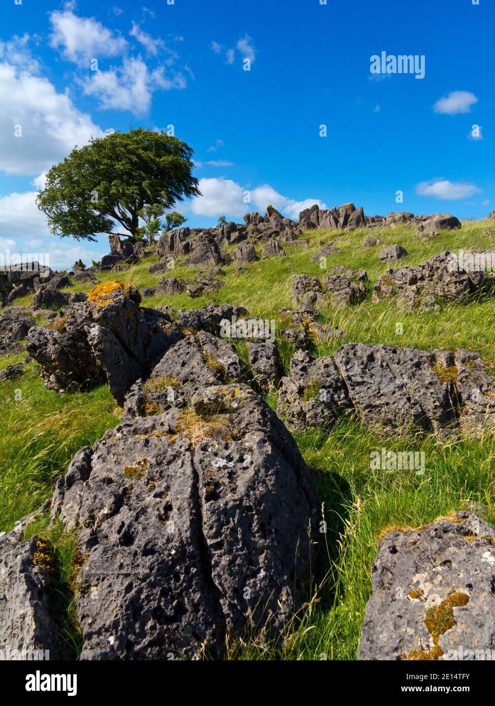 Limestone rocks and trees at Roystone Rocks near Parwich in the Peak ...