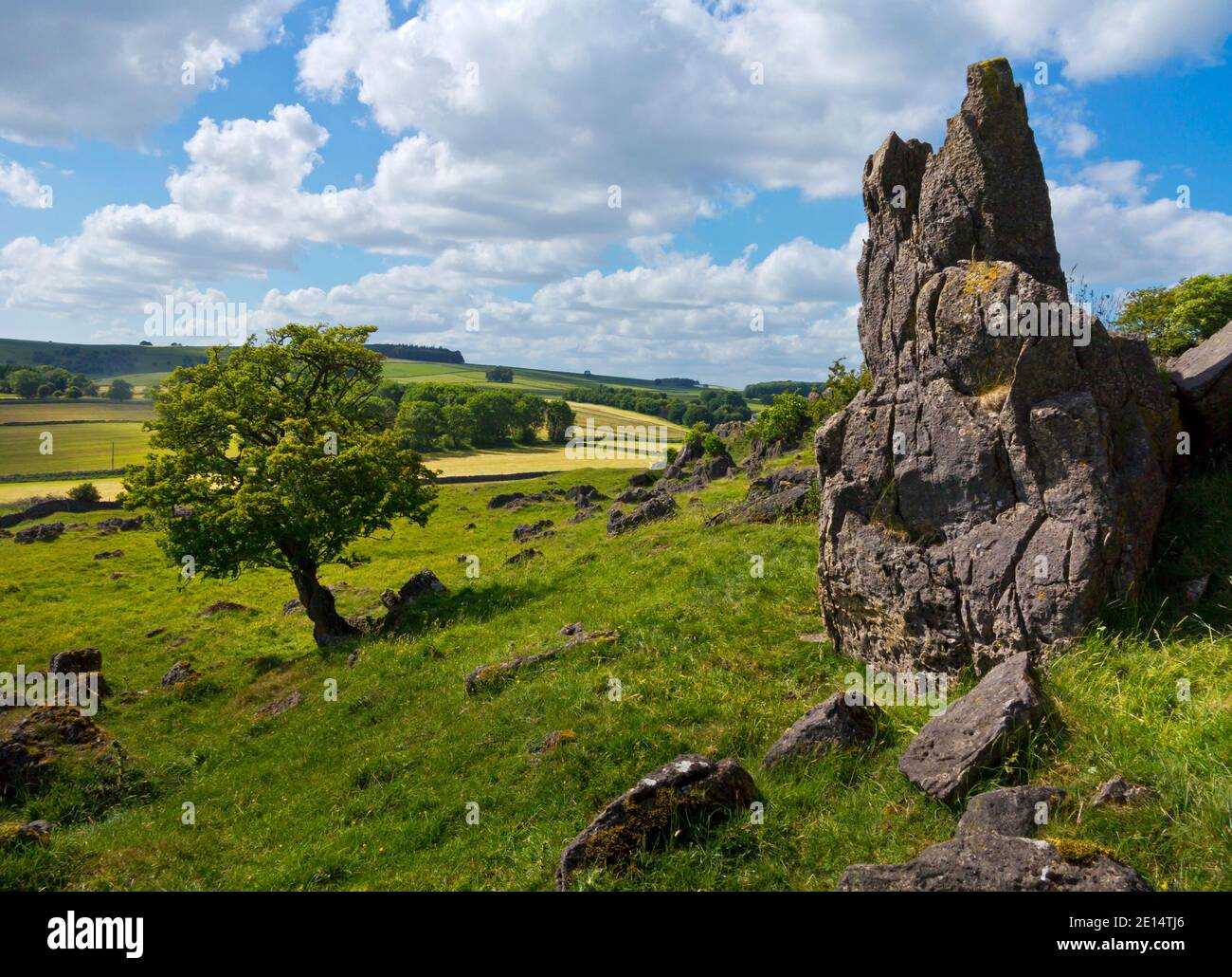 Limestone rocks and trees at Roystone Rocks near Parwich in the Peak ...