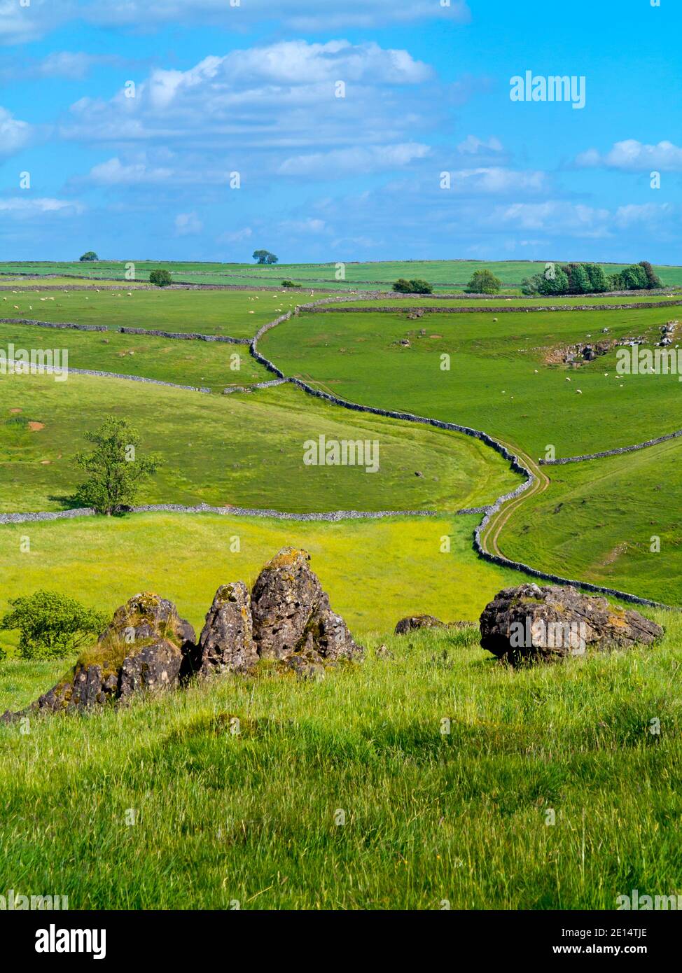 Limestone rocks and trees at Roystone Rocks near Parwich in the Peak ...
