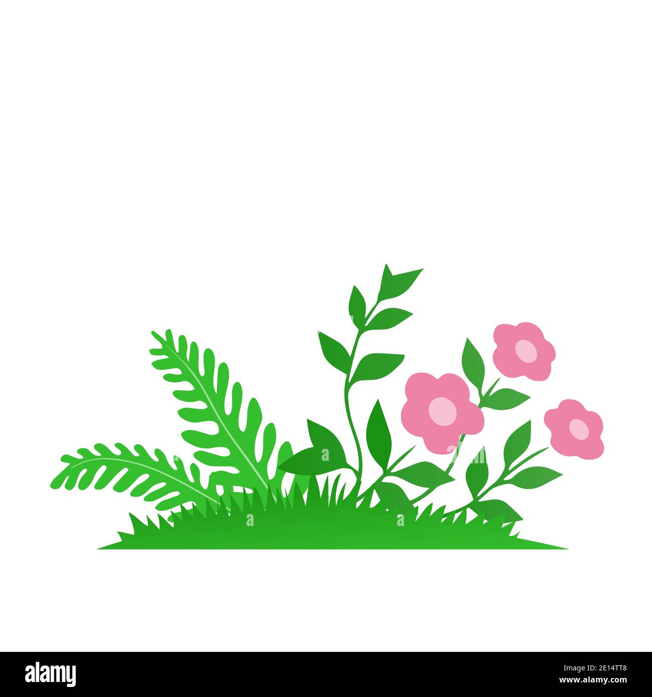 Beautiful plants and flowers on a white background. Template for ...
