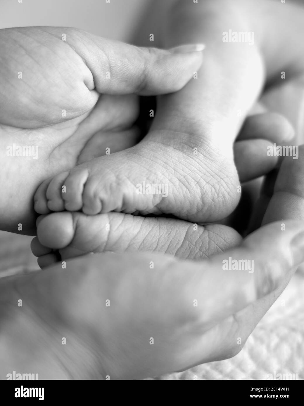 Small feet hi-res stock photography and images - Alamy