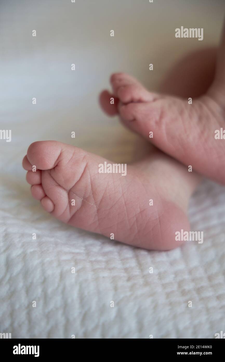 Small feet of a newborn close up. The first days of a baby's life Stock ...