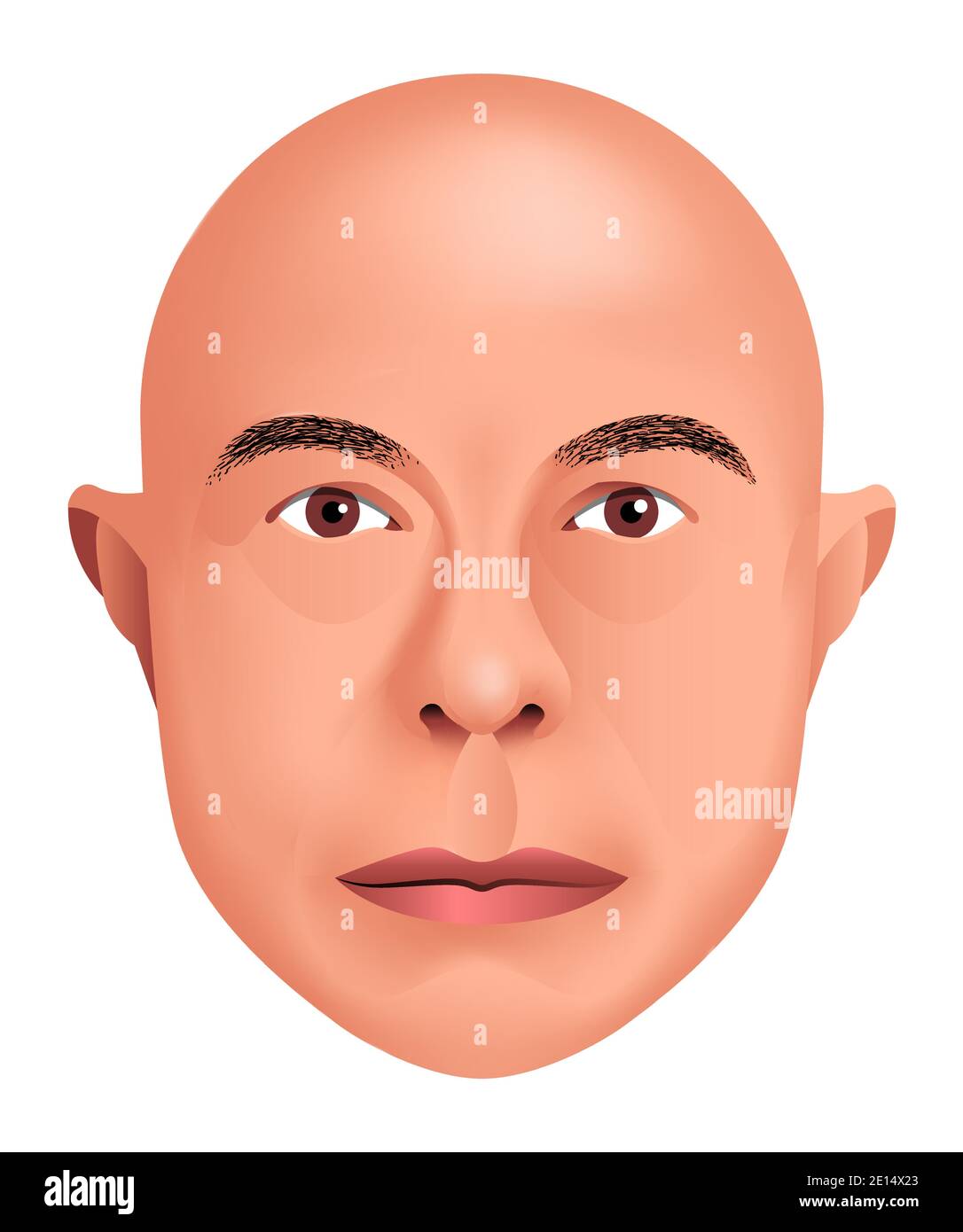 Vector head in gradient style Stock Vector Image & Art - Alamy