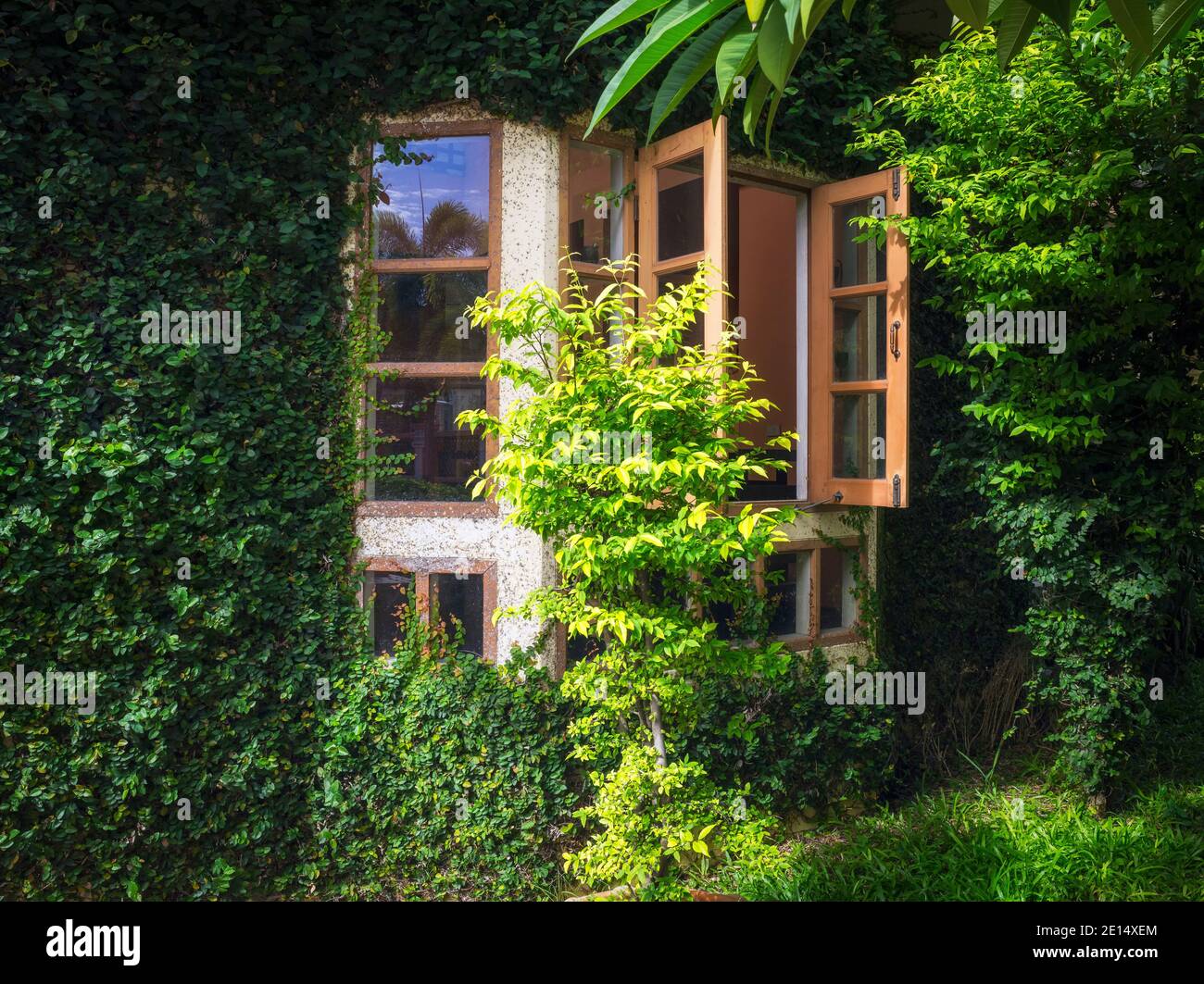 Exterior house paint texture hi-res stock photography and images - Alamy