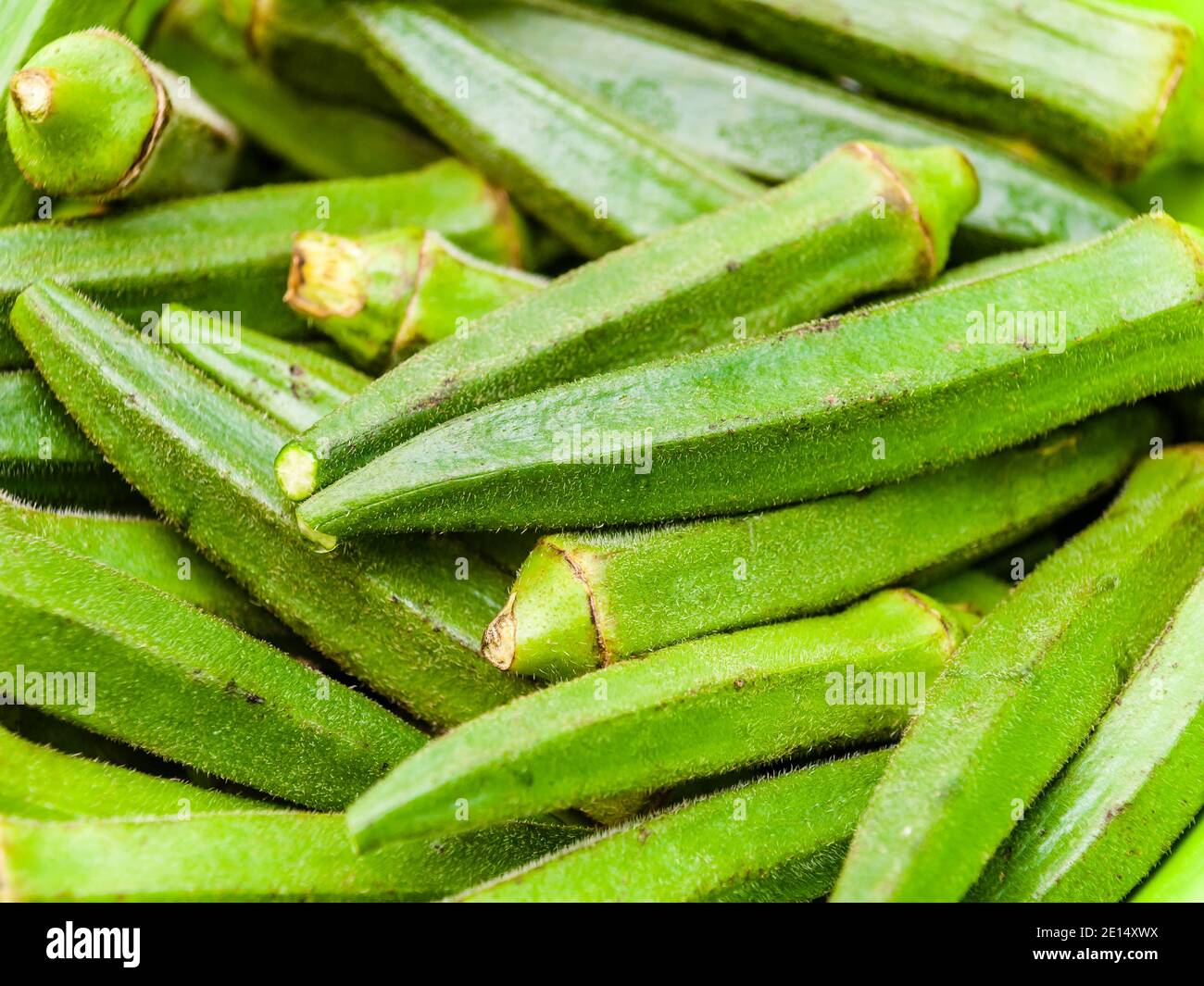 Fresh ochra hi-res stock photography and images - Alamy