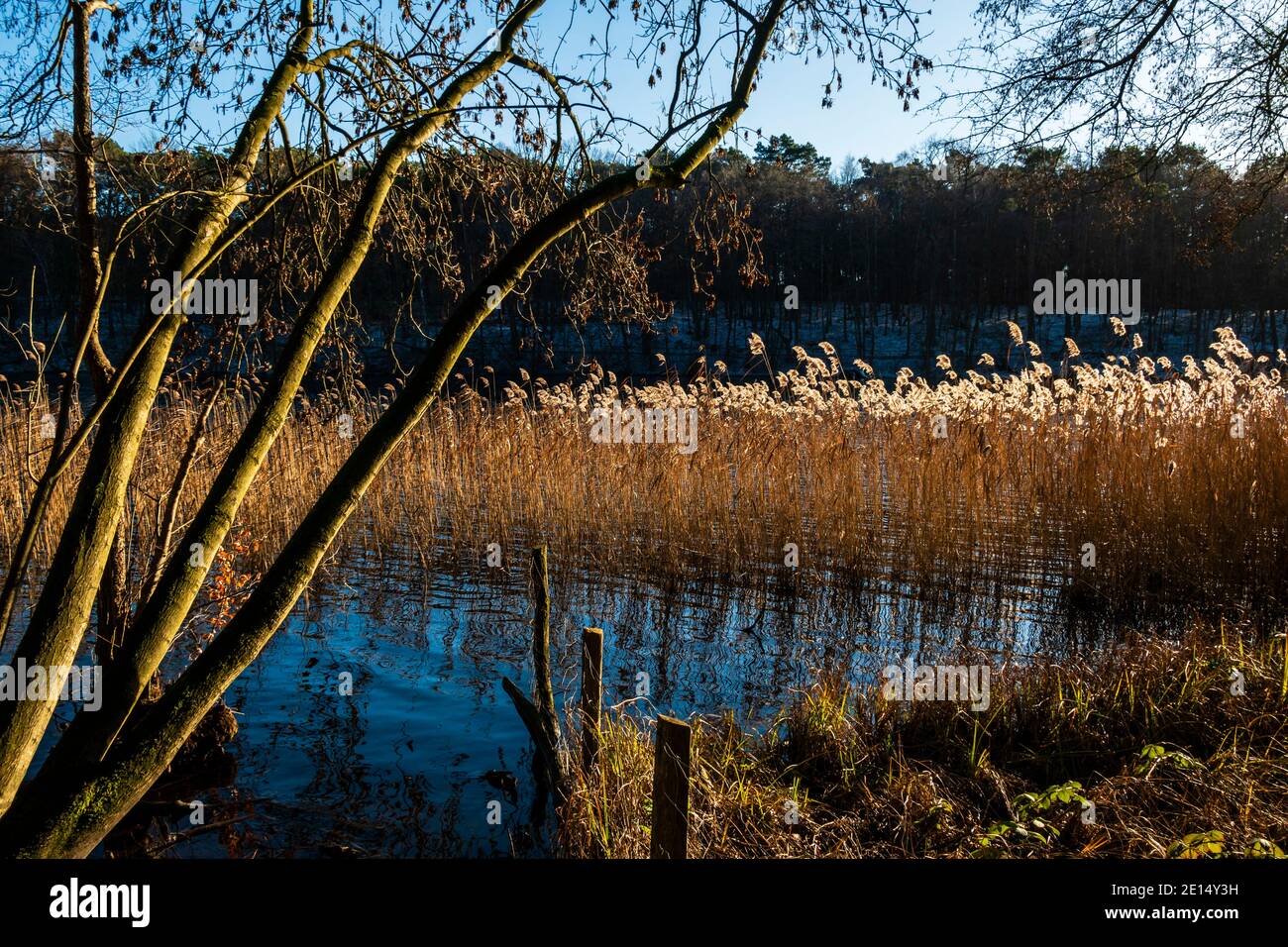 Krumme berlin hi-res stock photography and images - Alamy