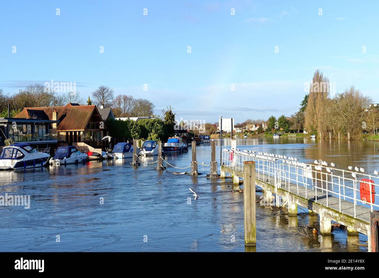 The River Thames at Laleham, near Staines on a bright sunny winters day ...