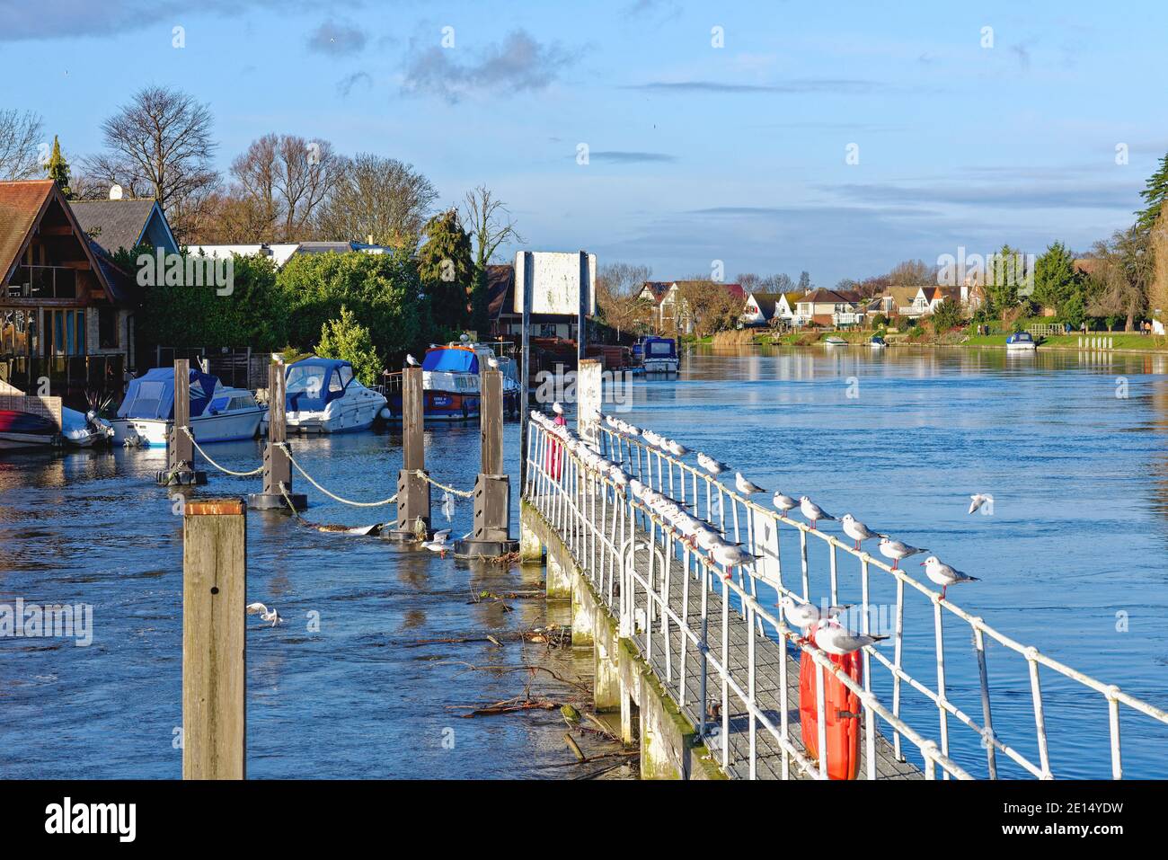 The River Thames at Laleham, near Staines on a bright sunny winters day ...
