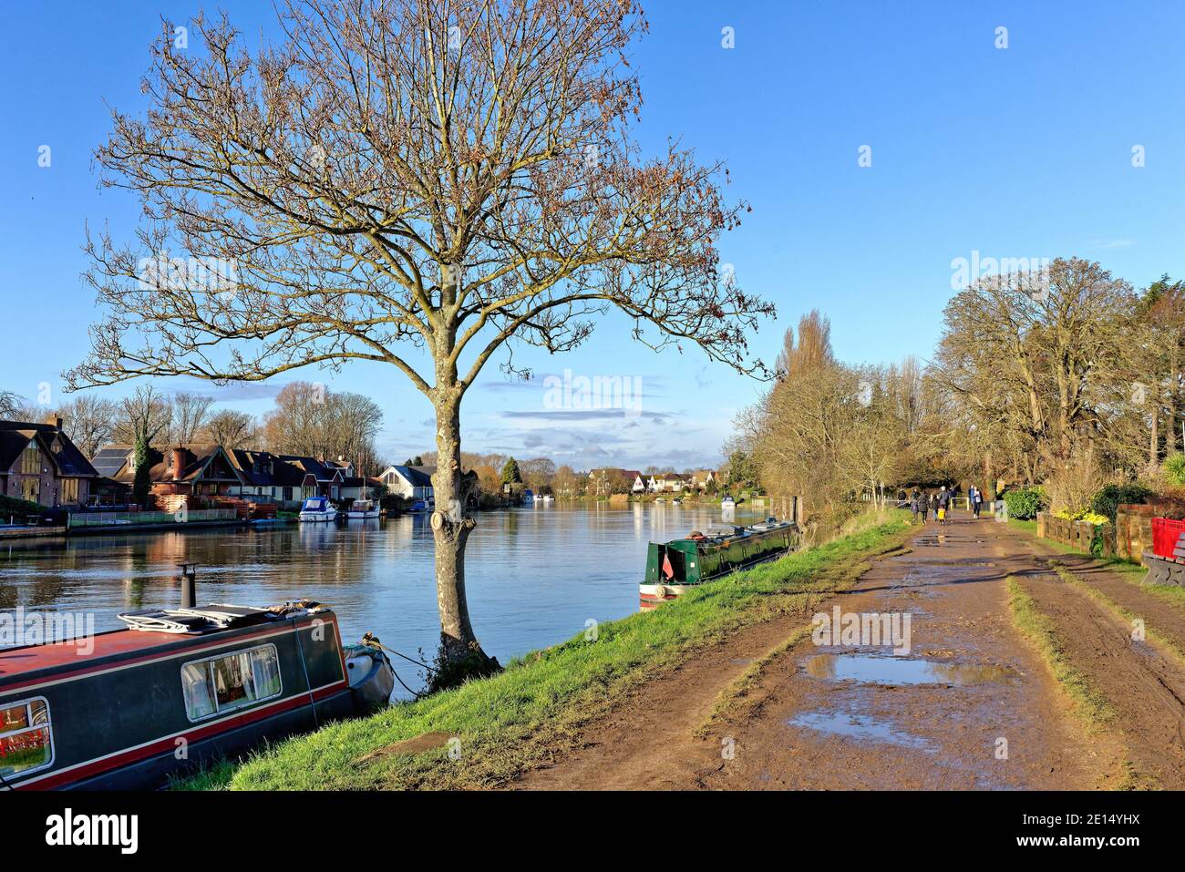 The River Thames at Laleham, near Staines on a bright sunny winters day ...