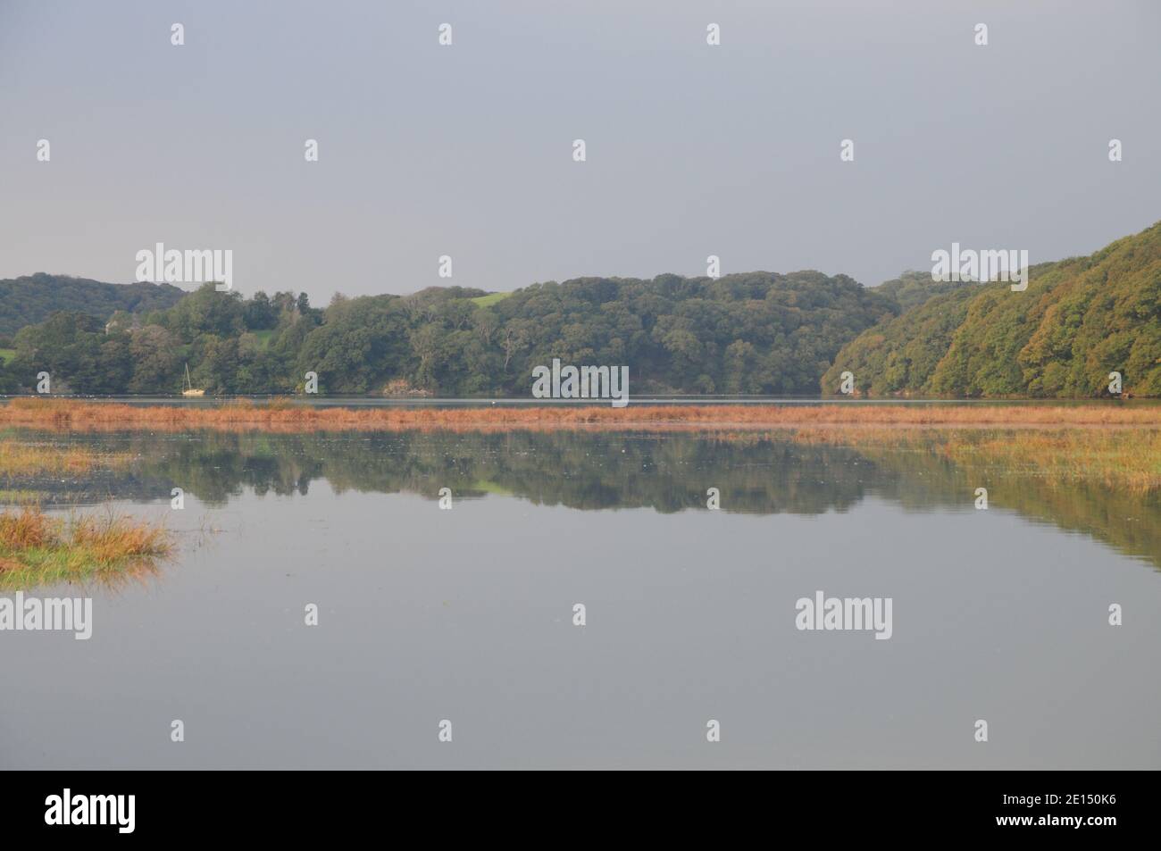 Calm water at high tide on the Fal estuary near Ruan Lanihorne and Sett ...