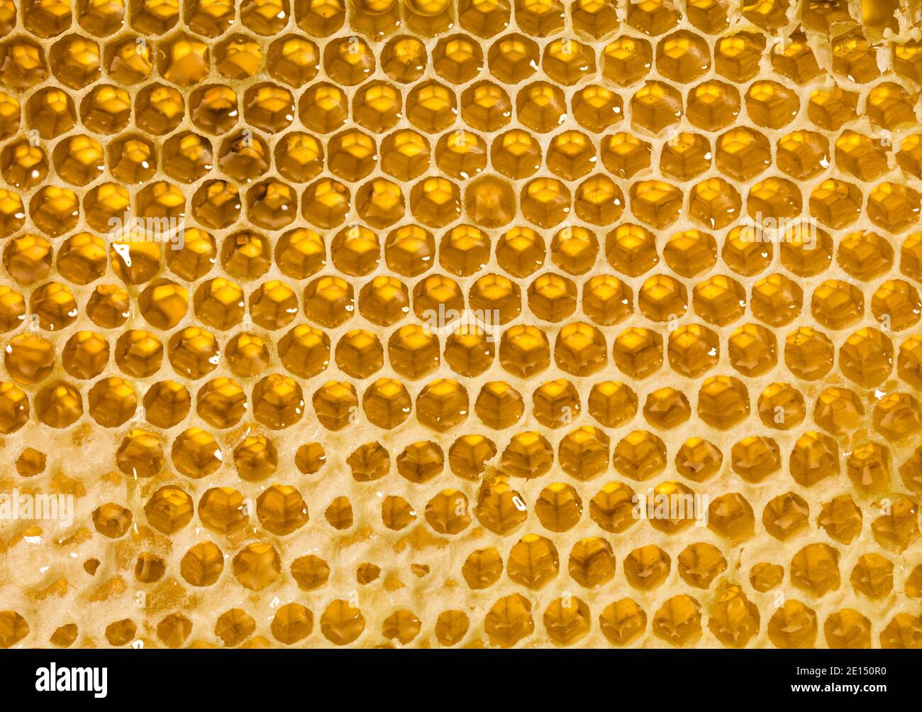 natural honey comb texture Stock Photo - Alamy