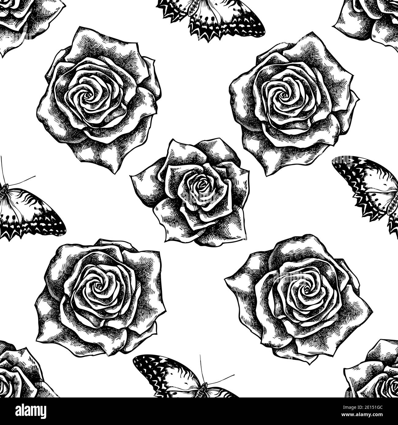 Spotted leaf plant Black and White Stock Photos & Images - Alamy