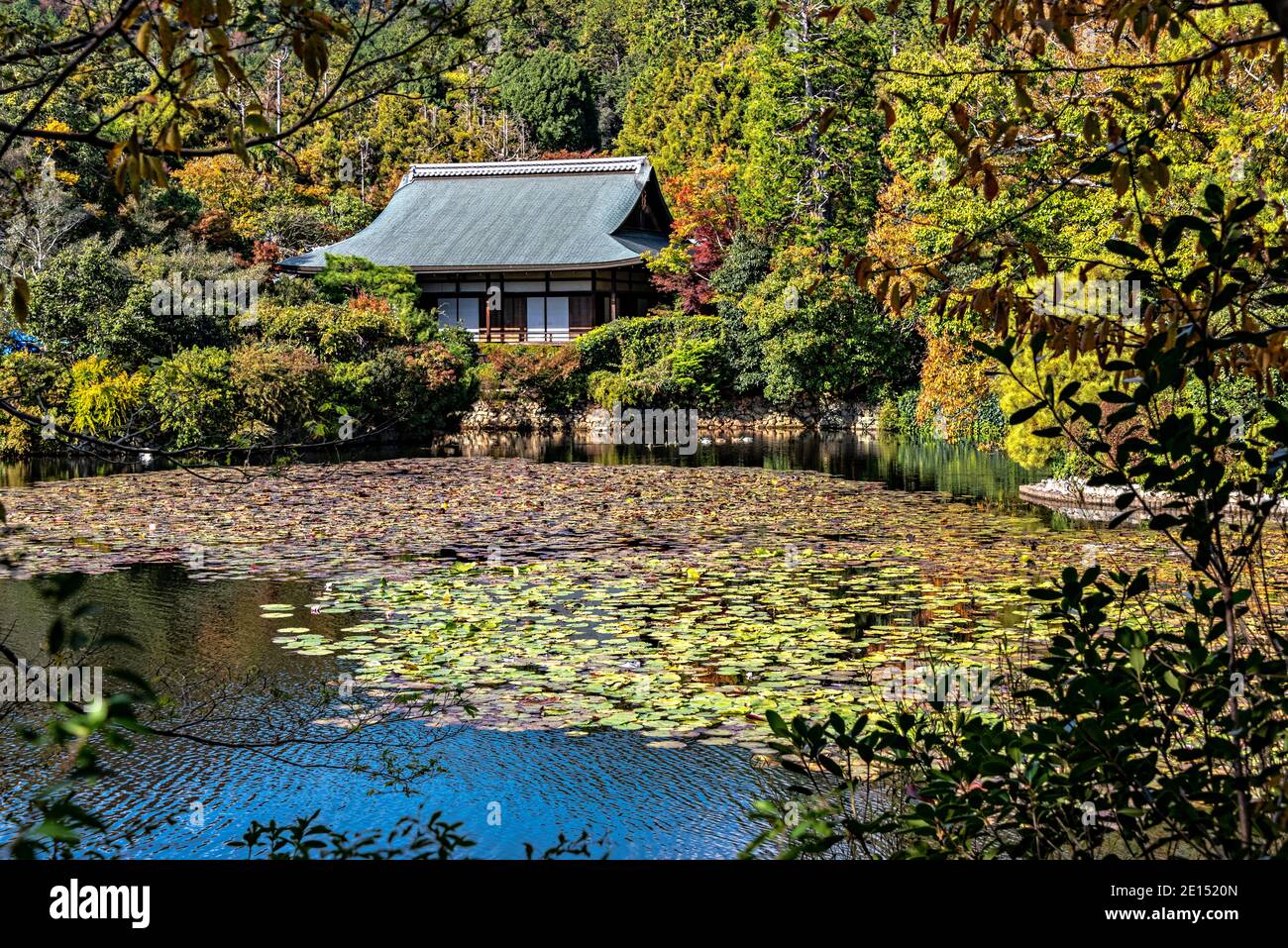 Daijuin temple hi-res stock photography and images - Alamy
