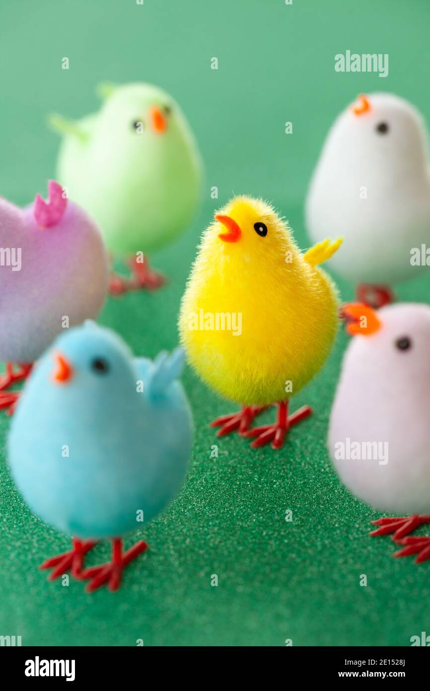 Colorful Easter Chicks Stock Photo - Alamy