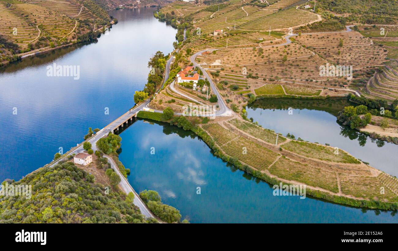 Beautiful landscape growing vine area hi-res stock photography and ...
