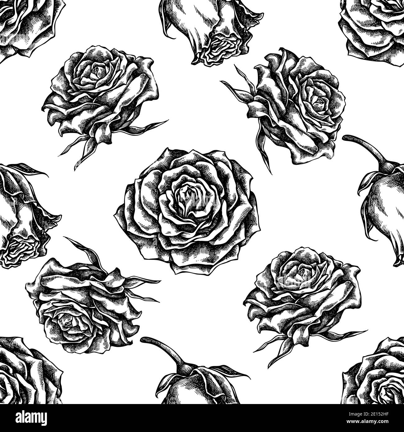 Seamless pattern with black and white roses Stock Vector Image & Art ...