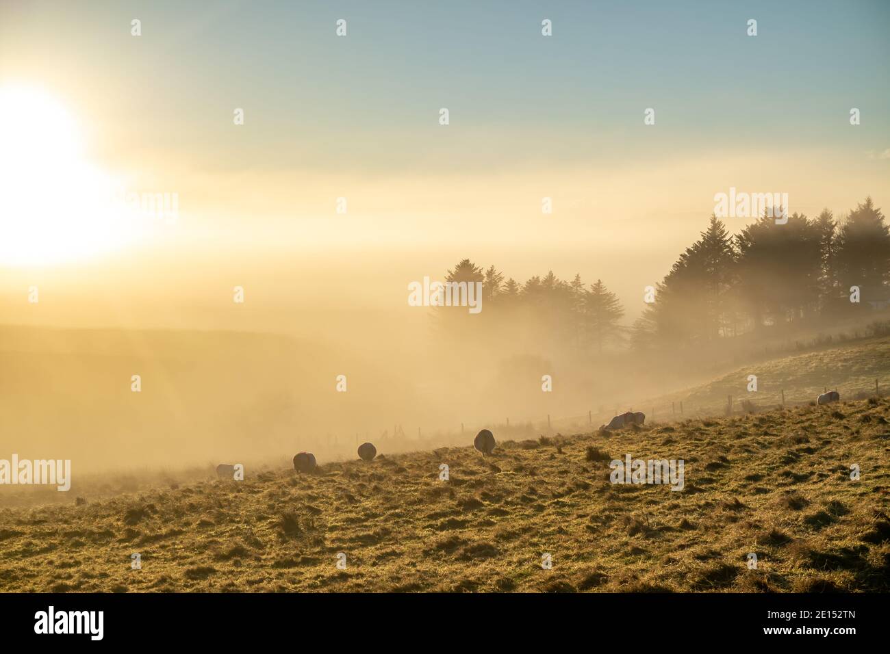Prayer tree ireland hi-res stock photography and images - Alamy