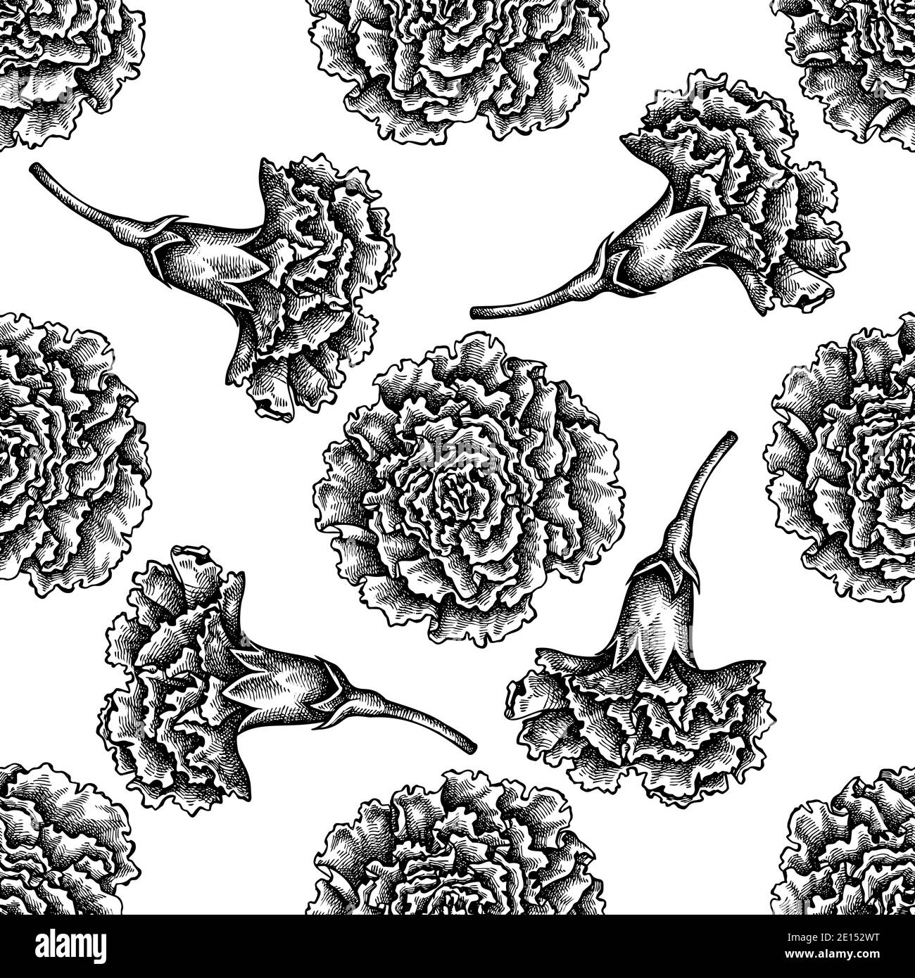 Seamless pattern with black and white carnation Stock Vector Image ...