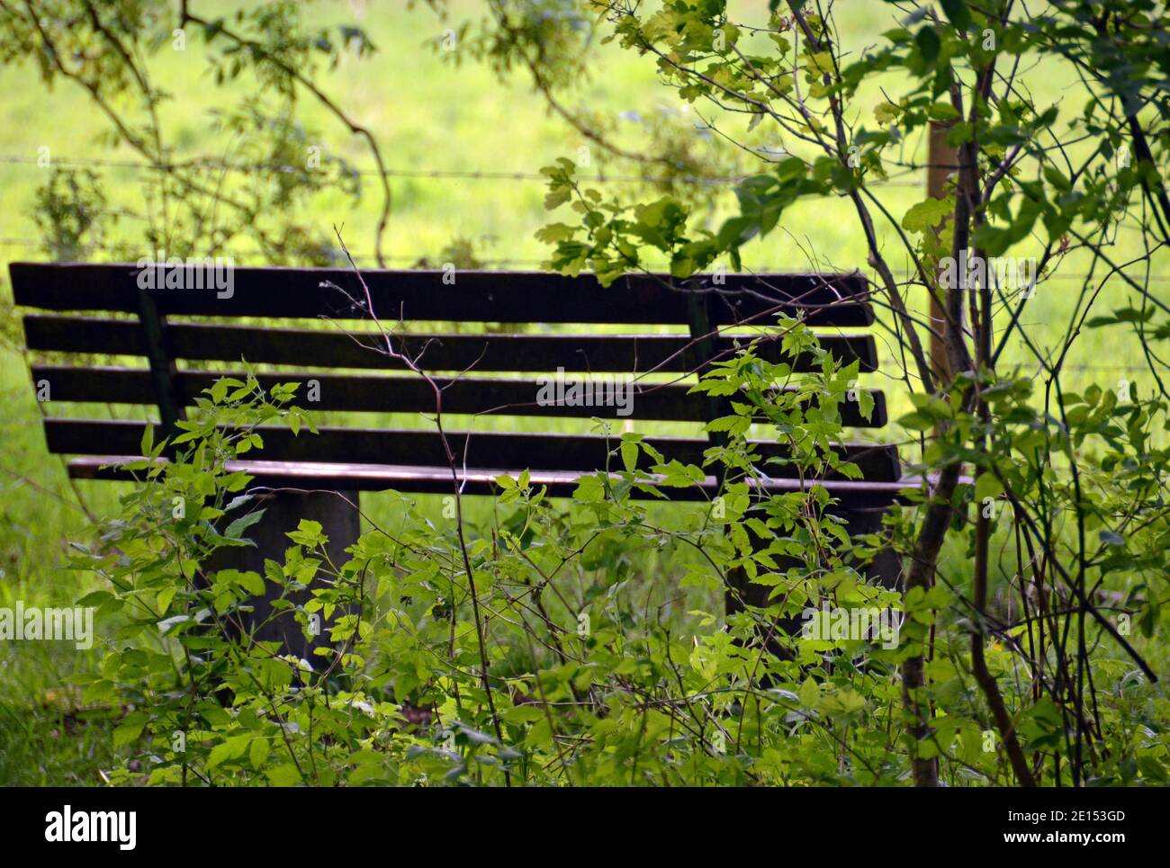 Bench In Green Nature Stock Photo - Alamy