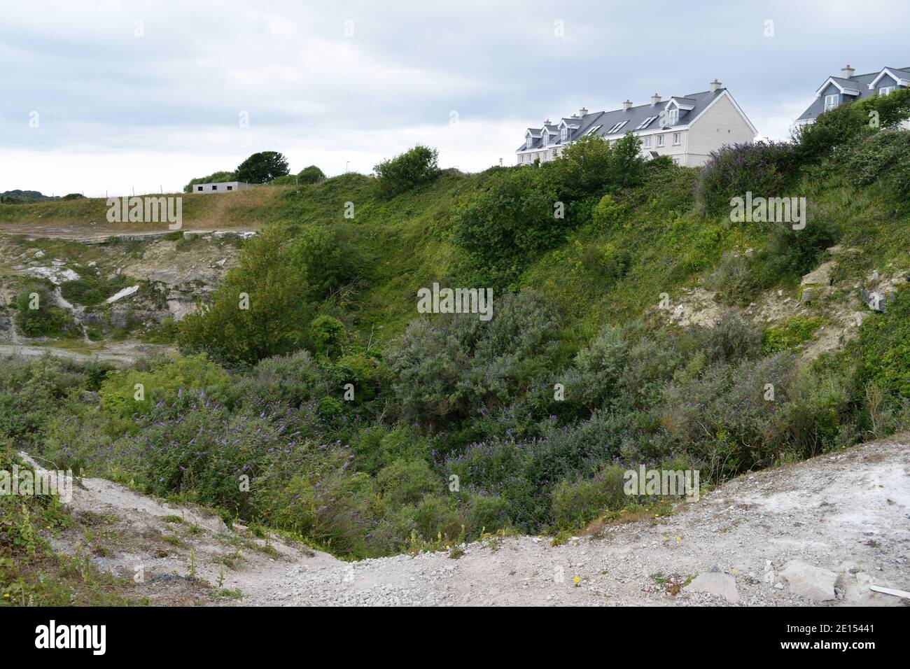 Small Abandoned Quarry on the Isle of Portland, Dorset Stock Photo - Alamy