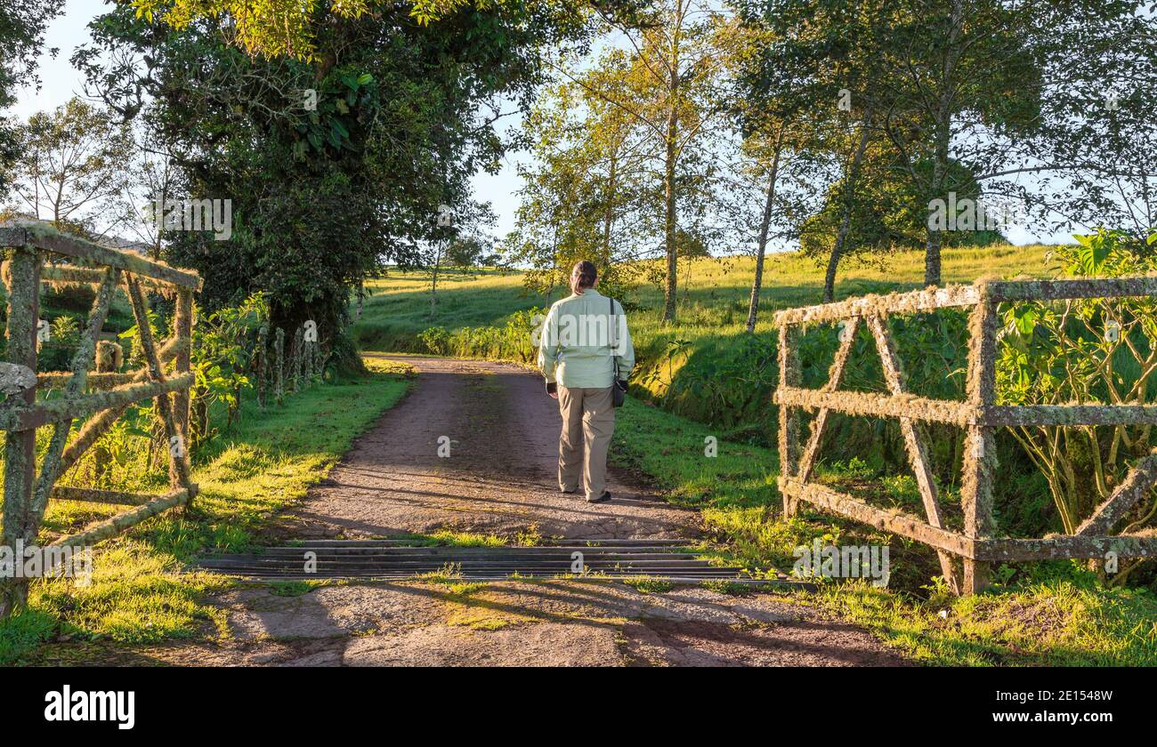 Walking along fence hi-res stock photography and images - Alamy