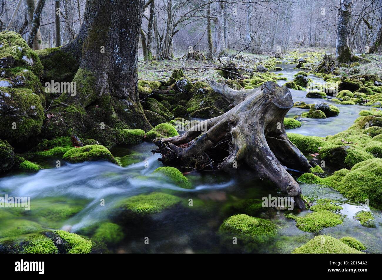 Melt water runoff hi-res stock photography and images - Alamy