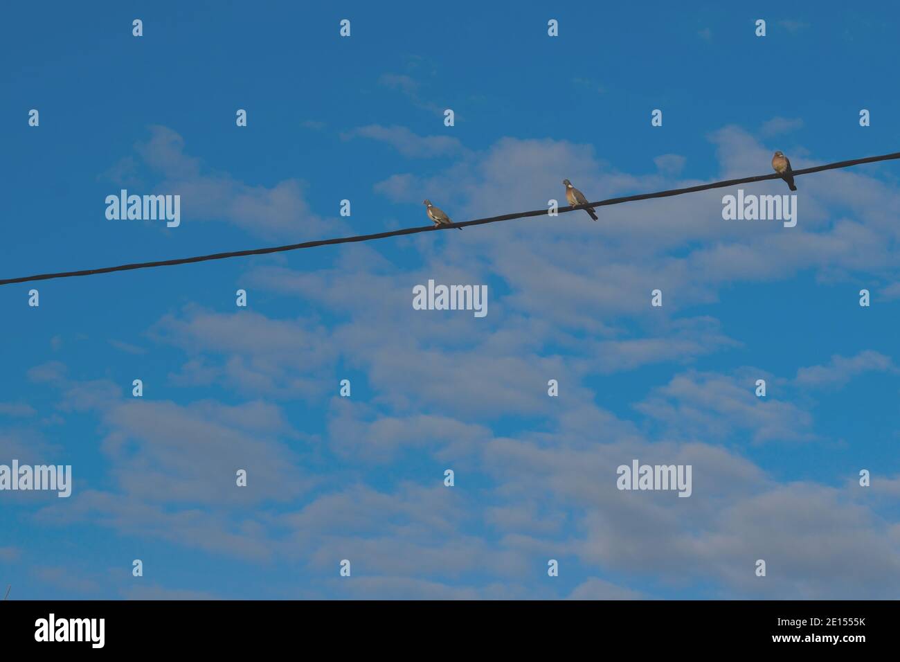 Telephone lines abstract beautiful hi-res stock photography and images ...