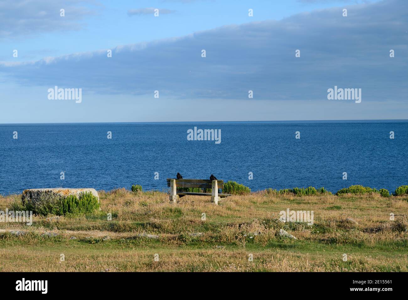 Crows and seaside hi-res stock photography and images - Alamy