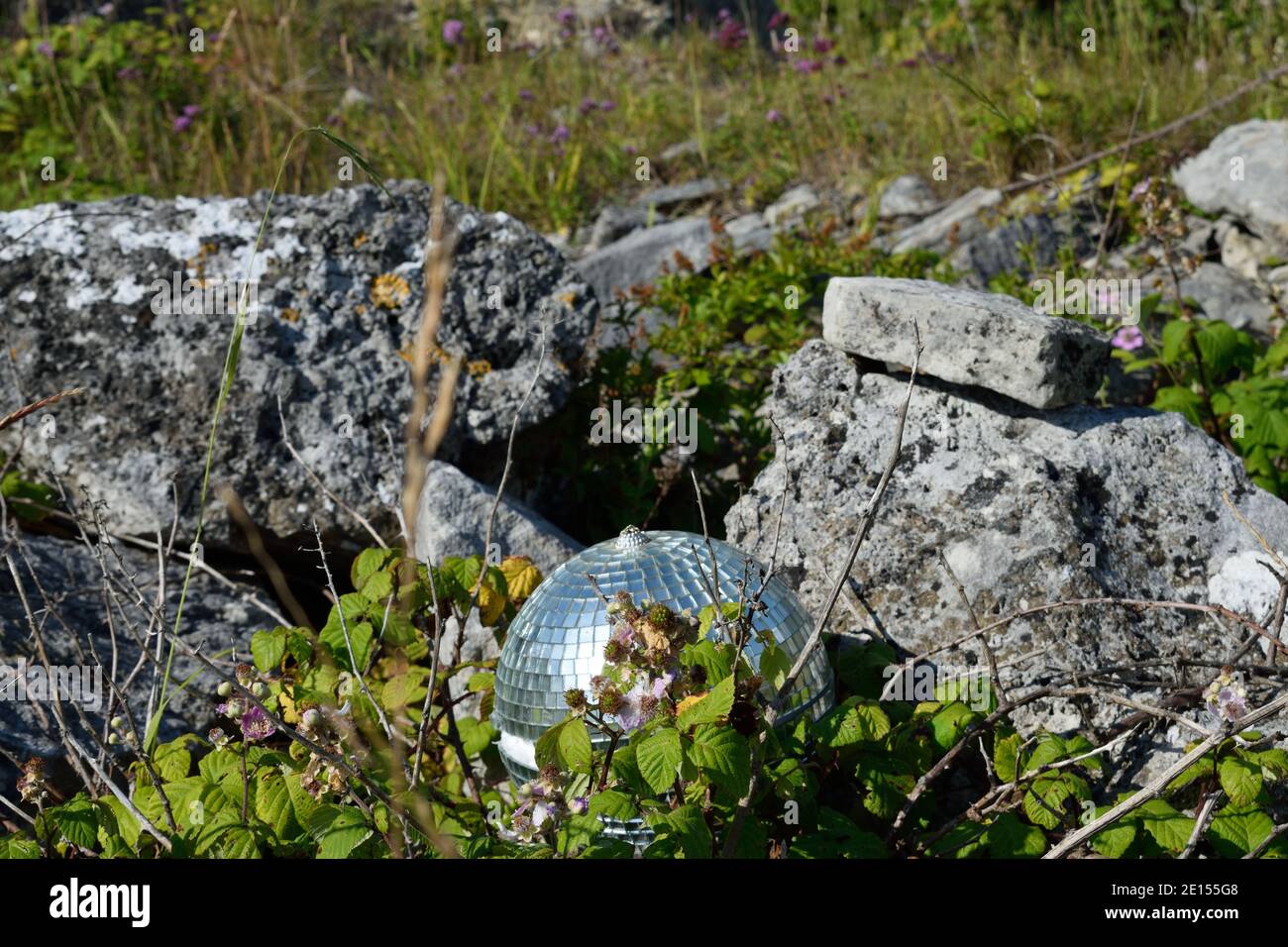 Disco Ball Abandoned in King Barrow Nature Reserve on the Isle of ...