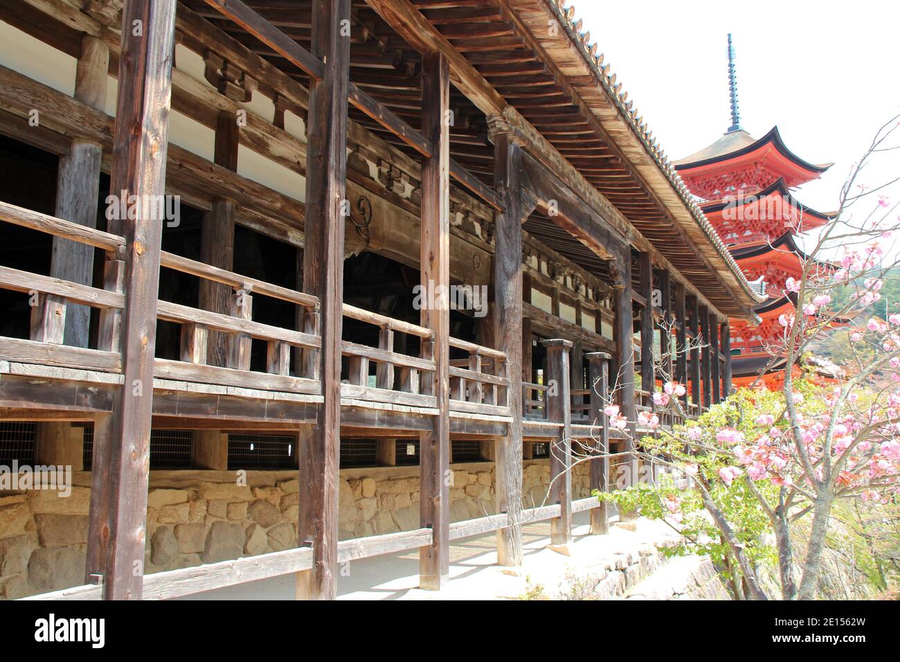 senjokaku pavilion in miyajima in japan Stock Photo - Alamy