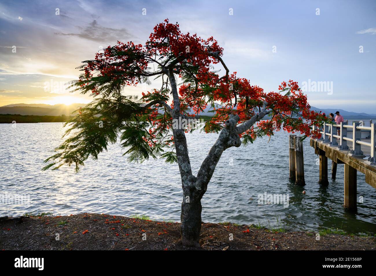 Footbridge along Pacific ocean shoreline, Port Douglas, Queensland ...