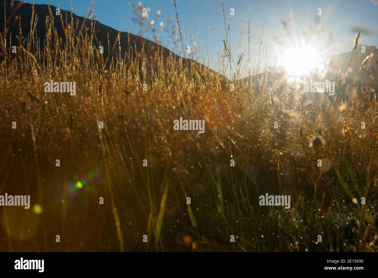 Ethereal effect hi-res stock photography and images - Alamy