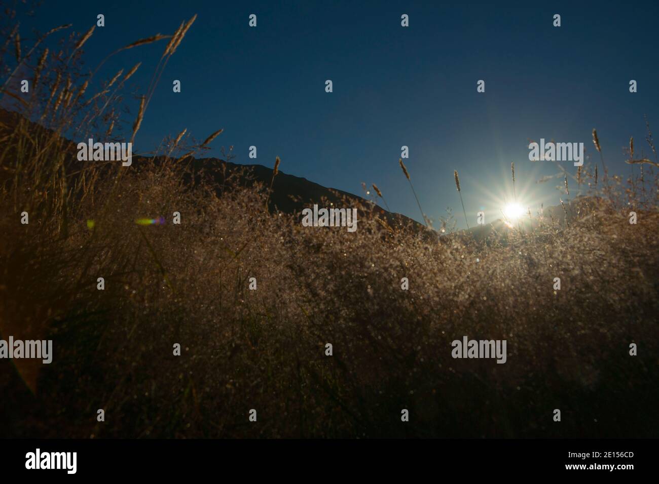 Ethereal effect hi-res stock photography and images - Alamy