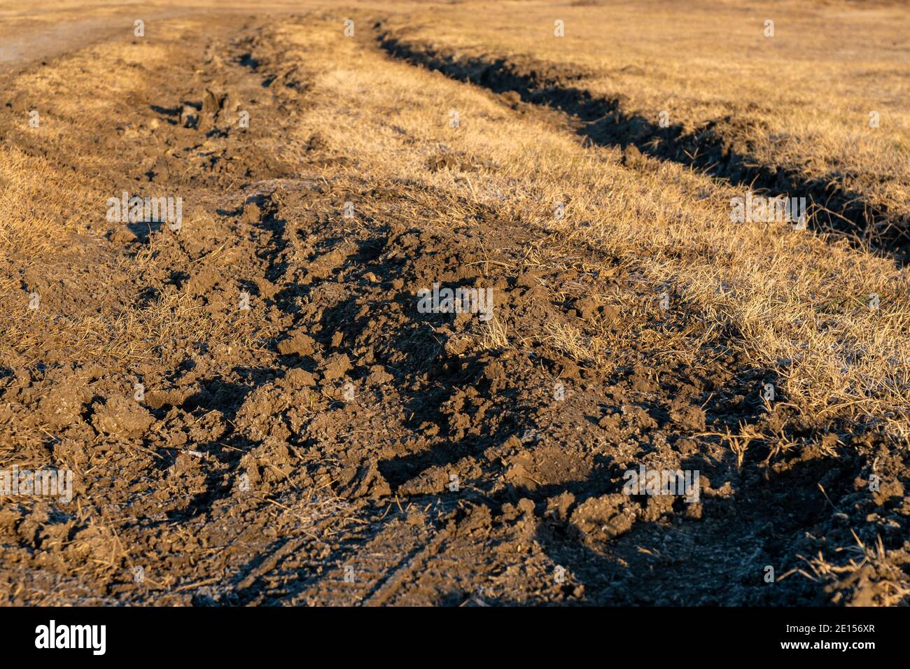 Dirt road for cars, tread tracks. Georgia Stock Photo - Alamy