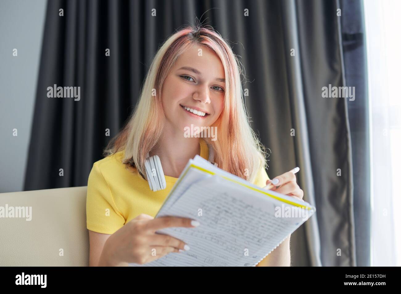 Online lesson, remote training, video call Stock Photo - Alamy