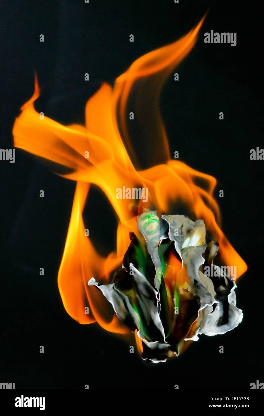Burning bills hi-res stock photography and images - Alamy
