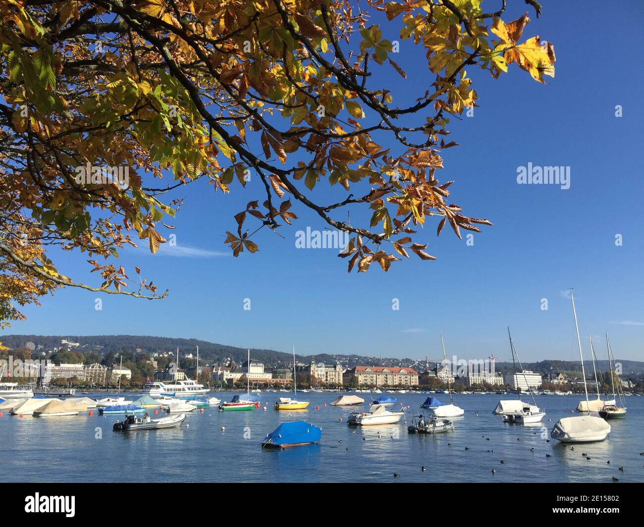 Sunny day in fall hi-res stock photography and images - Alamy